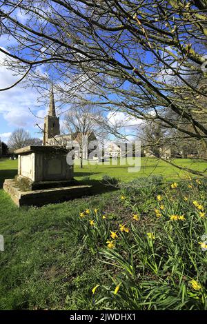 Spring daffodils at St Wendredas church, March Town, Cambridgeshire ...