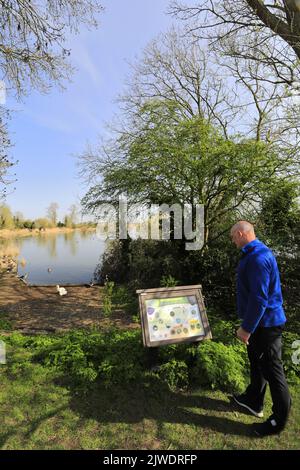 Summer view over Manea pit wildlife site, Manea town, Cambridgeshire ...