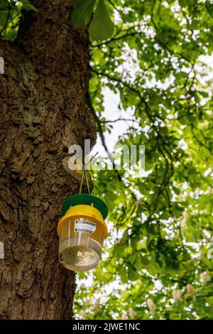 A trap for insects, crop pests, a container of preservative liquid and ...