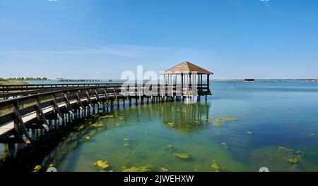 Rosolina (Ro), Italy, a view of the Coastal Botanical Garden of Porto ...