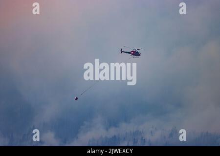 helicopter dropping water on active forest wildfire Stock Photo - Alamy