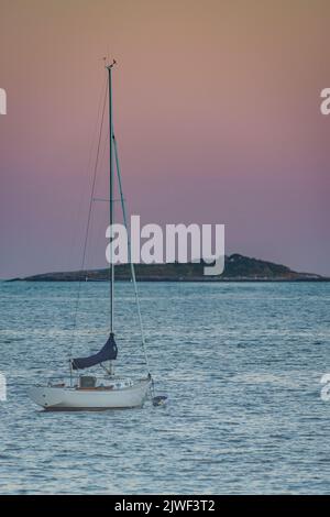 Beverly, Massachusetts Beverly Harbor Overlook Lone Sailboat with Pink ...