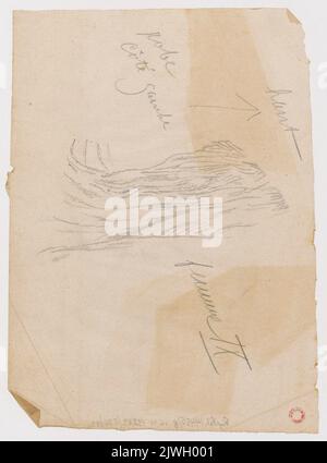 Sketch of robes (female figure I), tracing paper for Venus's mirror ...