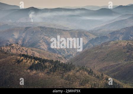 Smoke from a wildfire in the Selway-Bitterroot Wilderness, Idaho, USA ...