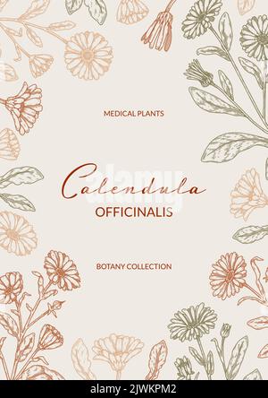 Calendula frame with hand drawn elements. Vector illustration in sketch ...
