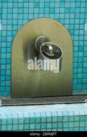 Hall of springs, Vichy, Allier, AURA Region, Central France Stock Photo ...