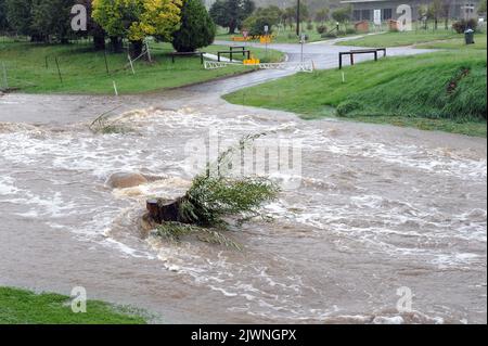 Water rushes down Cooma Back Creek in Cooma, Thursday, March. 1, 2012 ...