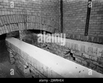 Martin oven under construction. Martinugn under uppbyggnad Stock Photo ...