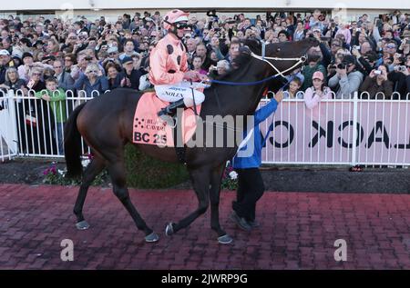 Race horse legend Black Caviar is paraded at the Caulfield races to ...