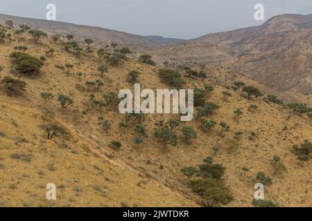 Hilly landscpae of Afar region, Ethiopia Stock Photo - Alamy
