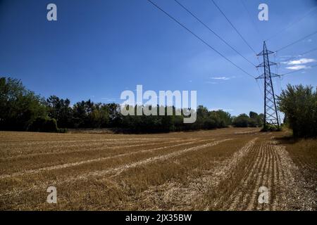 Mowed wheat field with electricity pylons bordered by trees on a sunny ...