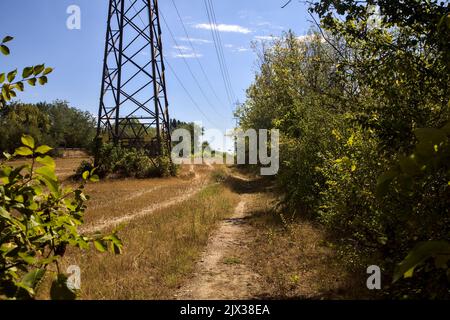 Mowed wheat field with electricity pylons bordered by trees on a sunny ...