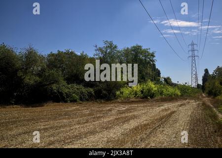 Mowed wheat field with electricity pylons bordered by trees on a sunny ...