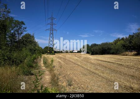 Mowed wheat field with electricity pylons bordered by trees on a sunny ...