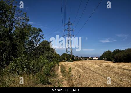 Mowed wheat field with electricity pylons bordered by trees on a sunny ...