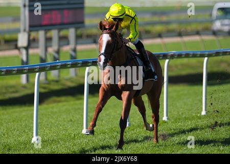 Jockey Jim Byrne rides She's Our Star to win race 3, The Caltex - Eagle ...