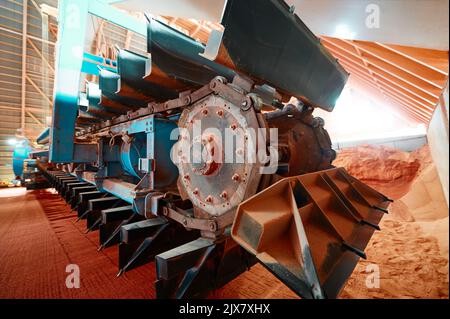 Automatic scraper conveyor potassium mineral fertilizers Stock Photo ...
