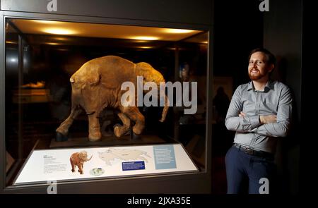 Palaeontologist Dr. Matthew McCurry poses in front of Lyuba, a 42,000 ...