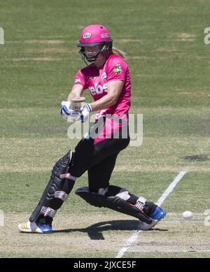 Ellyse Perry of the Sixers bats during the Women's Big Bash League ...