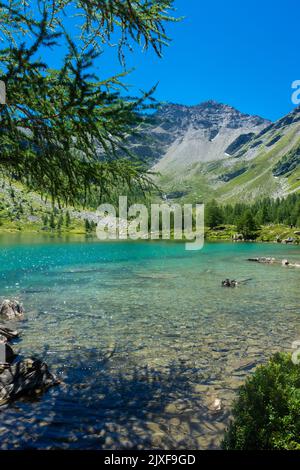 summer view of Morgex, Aosta Valley, Italy Stock Photo - Alamy