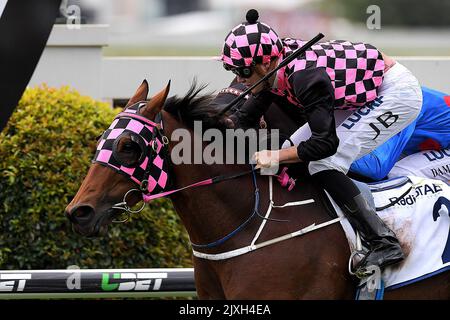 Jockey Jake Bayliss rides Hopfgarten to victory in race 2, the Radiotab ...
