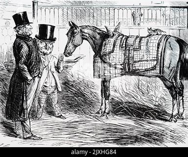 Punch cartoon 19th Century Stock Photo - Alamy