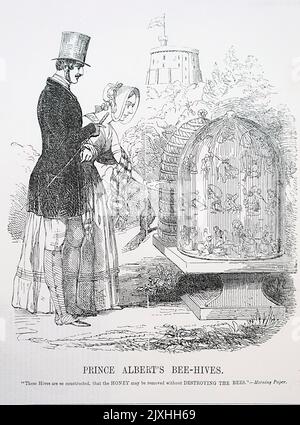Cartoon depicting Prince Albert (1819-1861) as 'The British Farmer ...