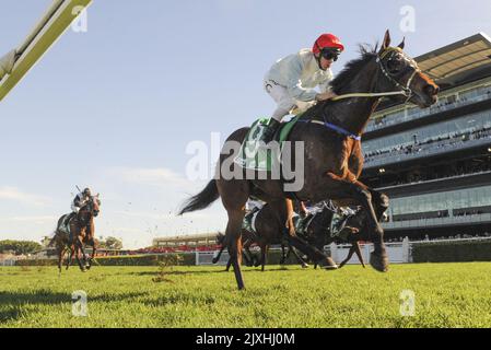 Jockey, Tim Clark rides Two 'N' Wellgo to win race 4, the Southern ...