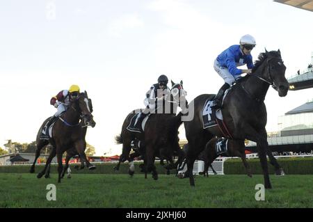 Jockey, Glyn Schofield rides I Thought So to win race 7, the Elite ...
