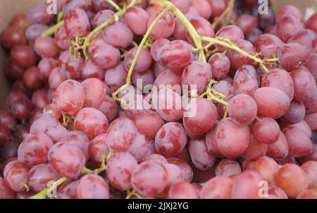 Copenhagen/Denmark/.07.September 2022/.Fruit and vegetable vendor in ...