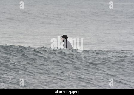 Surfing days in Puertecillo, Chile. Chile's world class waves attract ...