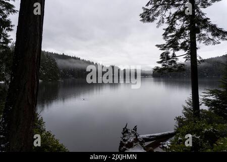 A view of a small lake surrounded by trees under a cloudy sky Stock ...