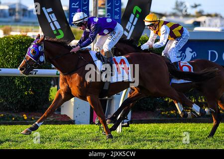 Jockey Jim Byrne rides Shogun Sun to victory in race 2, the Glovers ...