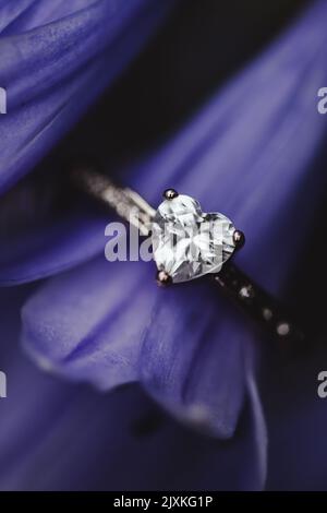 Silver Diamond Ring On A BluePurple Flower Stock Photo - Alamy
