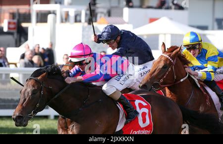 Jockey Luke Nolen rides Tony Nicconi to win race 5, the KS ...