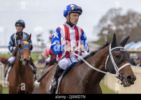 Jockey Michael McNab (right), riding #8 Impasse wins Race 8, the ...