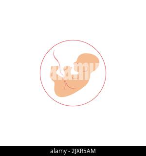 baby in belly with umbilical cord linear illustration vector Stock ...