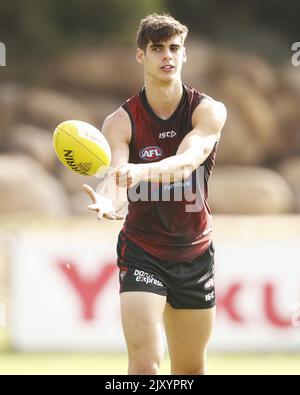 Brandon Zerk-Thatcher is seen during an Essendon Bombers training ...