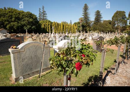A stock image of Karrakatta Cemetery in Perth, Wednesday, March 27 ...