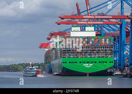 container ships and excursion boat, paddle steamer Louisiana Star ...
