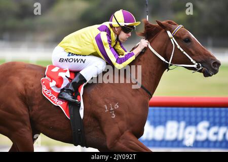 Jockey Ethan Brown rides Maddison Avenue to victory in race 5, the Le ...