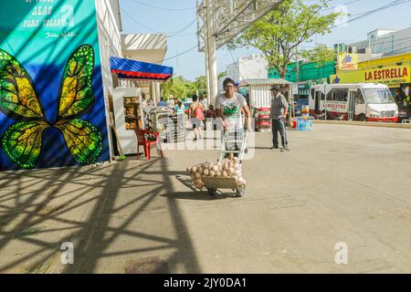 Municipal market "Alonso Felipe de Andrade" of Ciudad del Carmen ...