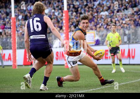 Noah Answerth of the Lions in action during Brisbane Lions training at ...