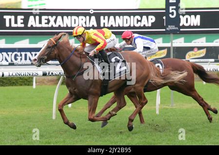 Jockey Joshua Parr rides Quackerjack to victory in race 9, the Tle ...