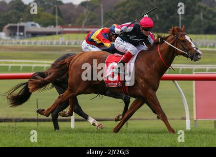Jockey Craig Williams rides Morrissy to victory in race 4, Ladbrokes ...