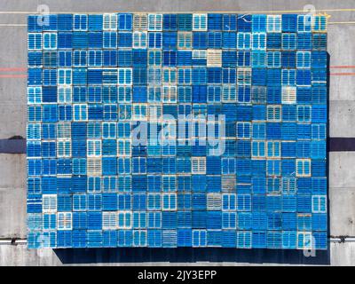 Hundreds of blue pallets form a colourful pattern Stock Photo - Alamy