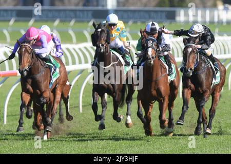 Jockey Robbie Dolan (black and white) rides Bangkok to victory in race ...