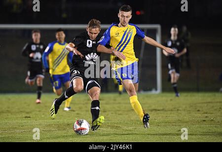 Scott Halliday of the Strikers (left) competes with Gai Gai of the ...