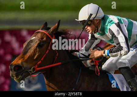 Jockey Jake Bayliss rides Takes Time to victory in race 7, the Class 6 ...