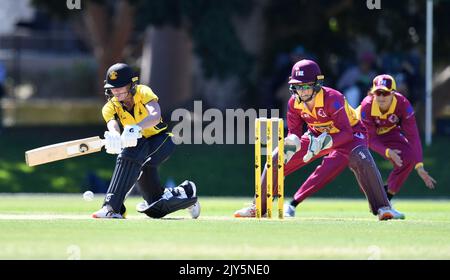 Chloe Piparo of the Western Fury in action during the Women's National ...